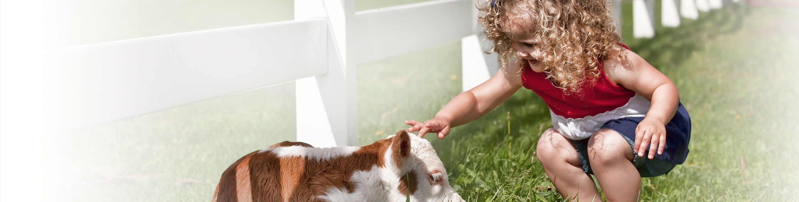 Home | Ritchie Industries, Inc